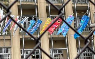 鲤鱼旗代表什么_鲤鱼旗的由来