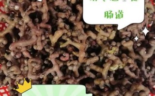 拐枣泡酒的功效与作用_拐枣泡酒怎么泡才有效