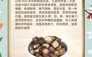 小花菇多少钱一斤_小花菇价格为什么差距大