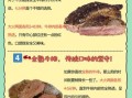 吃牛排的好处有哪些_牛排营养价值高吗
