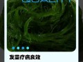 发菜怎么做好吃_发菜的营养价值有哪些
