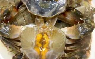 河蟹怎么腌制才入味_河蟹腌制配方比例