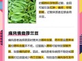 荷兰豆不宜搭配什么_哪些食物相克