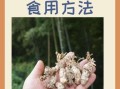 金蝉花怎么吃_金蝉花食用方法大全