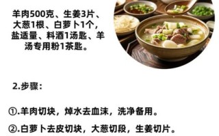 羊肉汤怎么炖不膻_正宗羊肉汤做法 羊肉汤怎么炖不膻_正宗羊肉汤做法