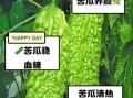 每天吃苦瓜有害处吗_苦瓜吃多了会怎样