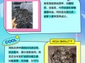 海苔和紫菜有什么区别_紫菜与海苔哪个更好吃
