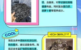 海苔和紫菜有什么区别_紫菜与海苔哪个更好吃