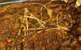 正宗木炭烤鱼怎么做_木炭烤鱼用什么鱼最好