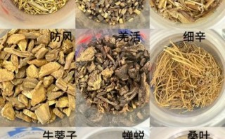 中药材大全_如何辨别真假