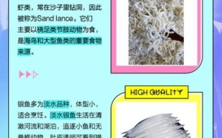 面条鱼是银鱼吗_银鱼和面条鱼的区别