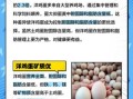 土鸡蛋和洋鸡蛋有什么区别_哪个更有营养