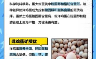 土鸡蛋和洋鸡蛋有什么区别_哪个更有营养