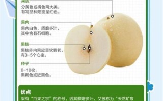 梨的营养价值_梨的功效与作用
