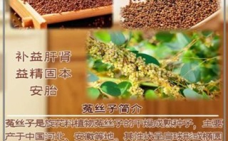 菟丝子怎么吃_菟丝子泡水喝的正确方法
