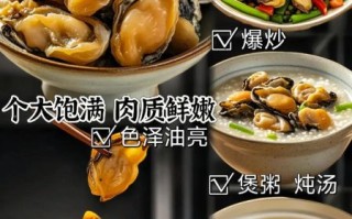 干牡蛎怎么泡发_干牡蛎的家常做法