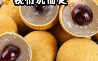 吃龙眼会上火吗_龙眼吃多了上火怎么办 吃龙眼会上火吗_龙眼吃多了上火怎么办