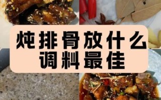 炖排骨怎么做好吃_炖排骨放什么调料