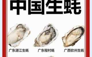湛江生蚝多少钱一斤_湛江生蚝怎么做好吃