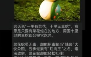 菜花蛇为什么能杀眼镜王蛇_菜花蛇吃眼镜王蛇视频真相