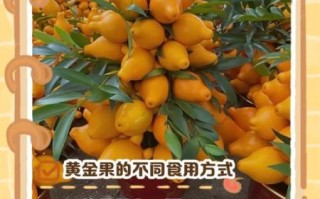 黄金果怎么吃_黄金果的功效与作用