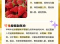 一天可以吃几个草莓_草莓吃多了会怎样