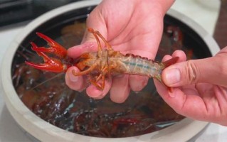 家做小龙虾步骤_小龙虾怎么清洗最干净