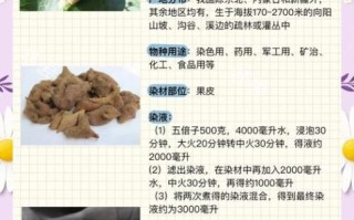 五倍子功效与作用_五倍子禁忌有哪些