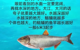 钓鲢鳙用什么饵料_钓鲢鳙怎么找水层