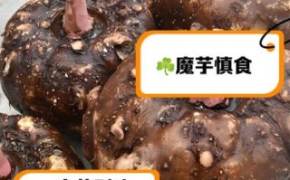 吃魔芋的禁忌_哪些人不能吃魔芋