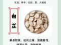 白芷的功效与作用用量_白芷一天吃多少克才安全