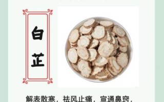 白芷的功效与作用用量_白芷一天吃多少克才安全