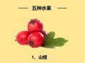 肺结节最怕三种水果_吃什么水果好
