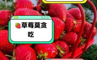 草莓吃多了会怎么样_草莓吃多会上火吗