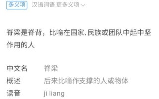 脊梁拼音怎么拼_脊梁的正确读音是什么