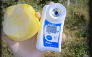 苹果糖度无损检测原理_如何挑选高甜度苹果