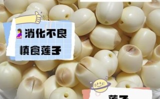 莲子能长期吃吗_莲子哪些人不能吃