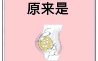 如何消除肝上的脂肪_脂肪肝怎么调理