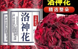 玫瑰茄花茶的功效与作用_玫瑰茄花茶怎么泡