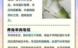 羊肉炖冬瓜怎么做才好吃_冬瓜去膻味技巧