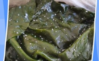 盐渍海带怎么吃_盐渍海带怎么泡发
