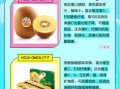 猕猴桃和奇异果的区别_哪个更好吃