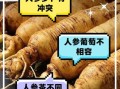人参不能和什么一起吃_人参禁忌食物有哪些