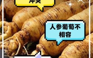 人参不能和什么一起吃_人参禁忌食物有哪些