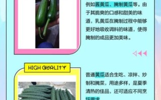 乳瓜图片_乳瓜和黄瓜区别