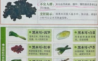 黑木耳的营养价值_黑木耳怎么吃最营养