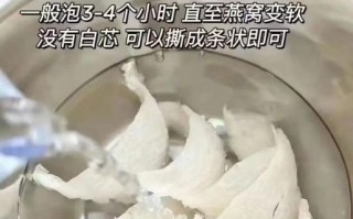 炖燕窝的正确做法_炖燕窝用什么水最好