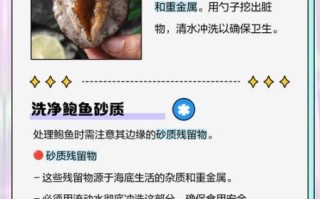 吃鲍鱼的禁忌_什么人不能吃鲍鱼