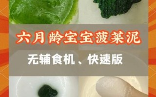 菠菜泥怎么做给宝宝吃_菠菜泥辅食几个月能吃