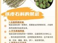石斛的功效与作用_怎么吃效果最好